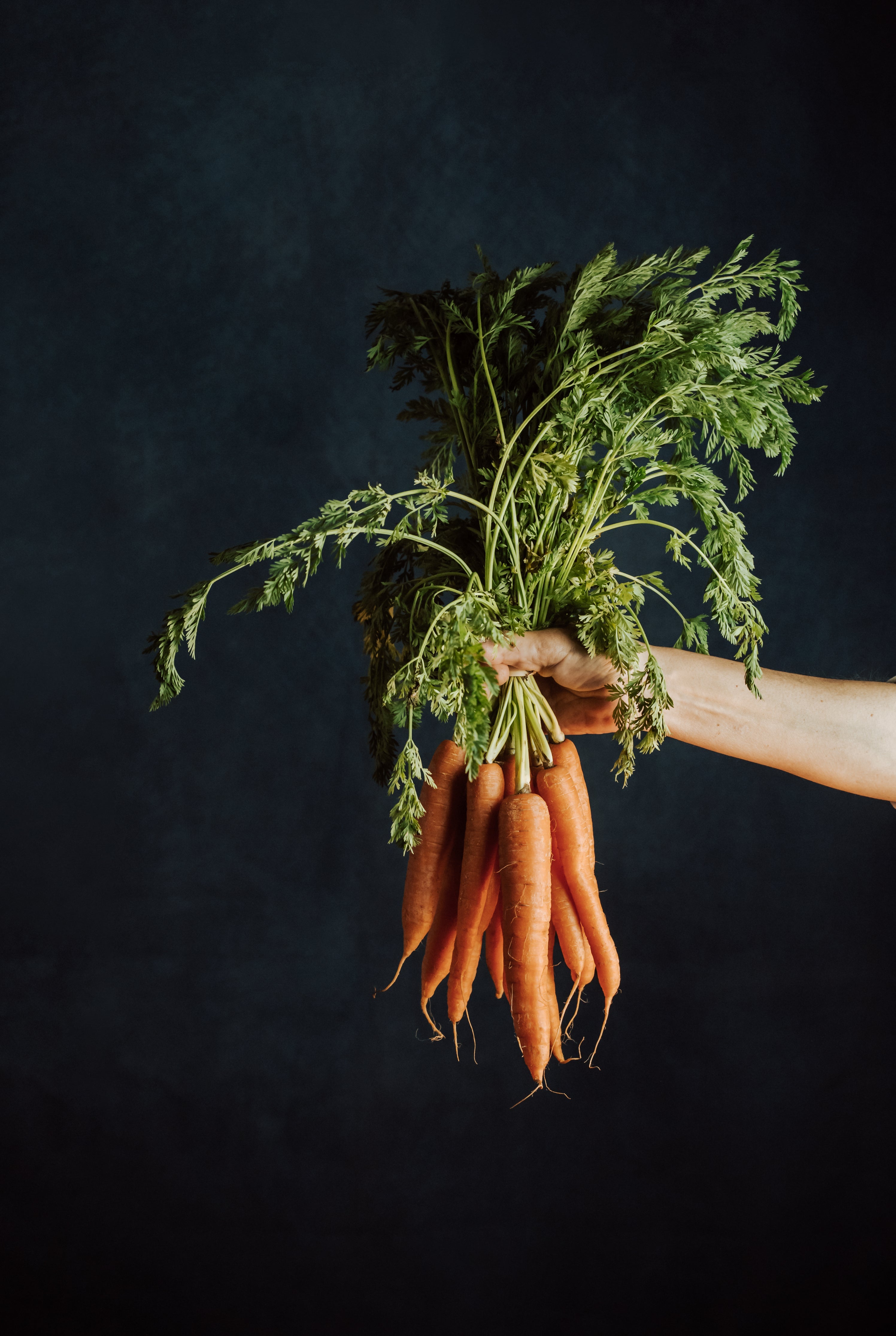 Upcycling Food from Produce; How to Save Scraps and Money with your Fr
